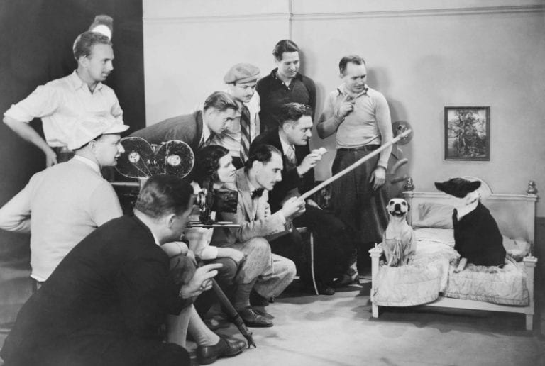 A Star is Born - How to get Your Dog in Commercials, Print Ads and ...