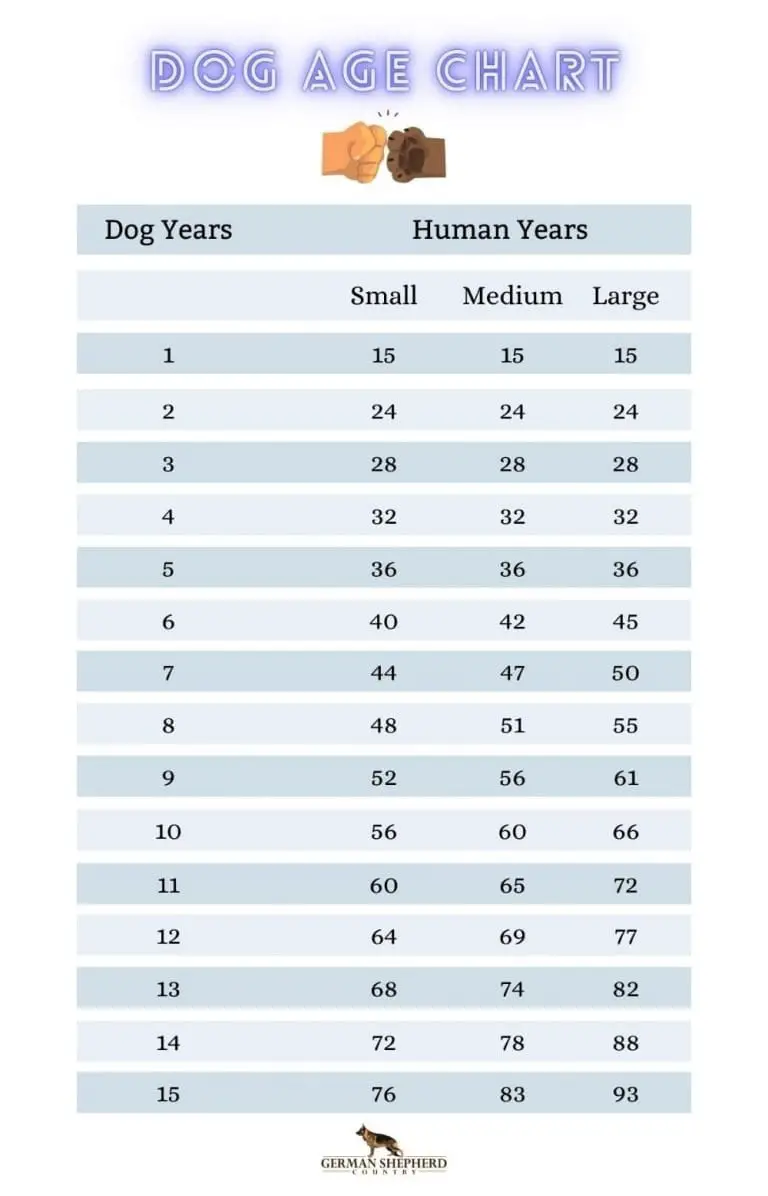 Dog Years: Dog Age Chart | German Shepherd Country