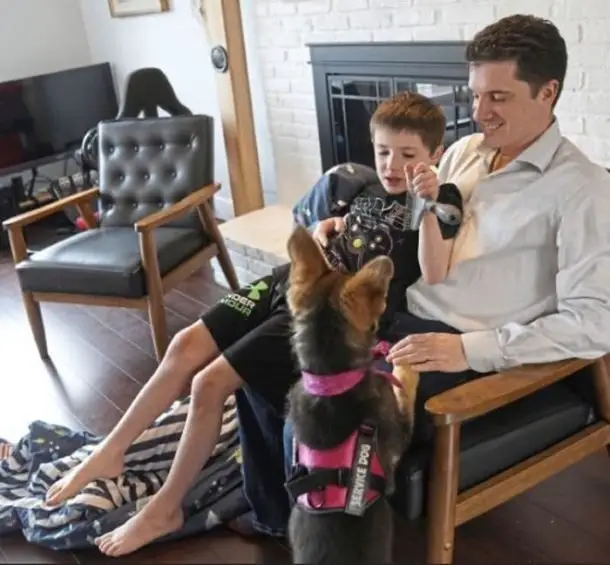How A German Shepherd Puppy is Helping a Family Manage Autism | German ...